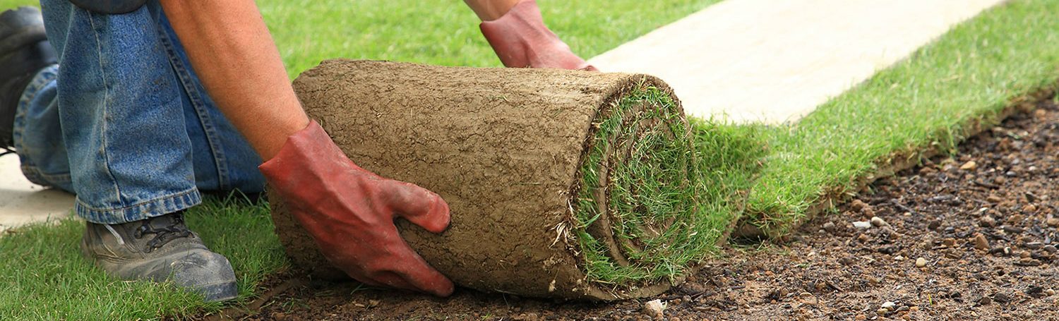 Trade | Turf, Turf Farm, Roll-on Lawn | Carabooda Lawn, Perth WA